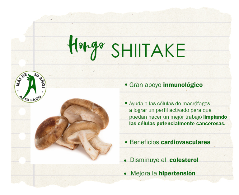 Hongo Shiitake Ayuda a limpiar las células potencialmente cancerosas